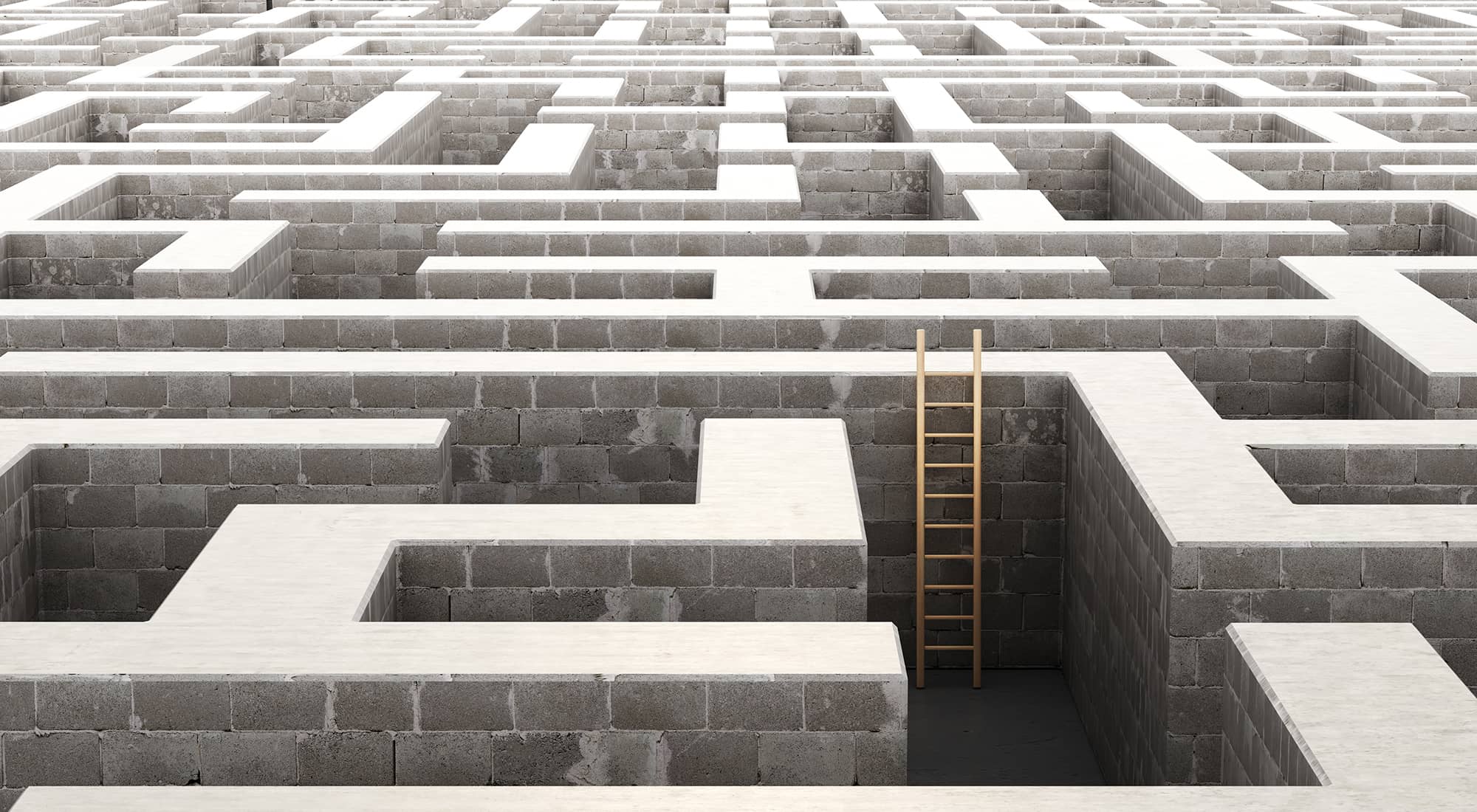Understanding the Pregnancy Benefit Maze So You Can Focus on Employees ...